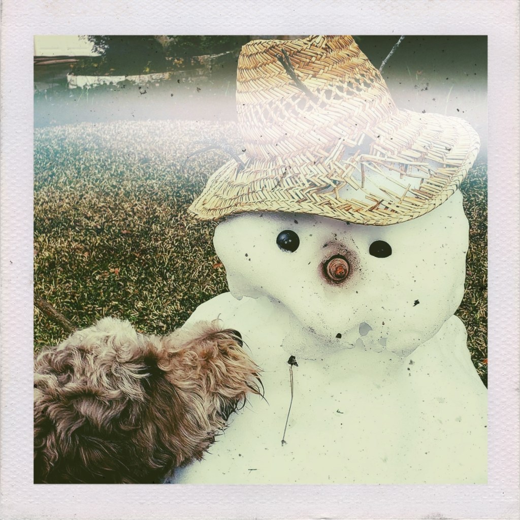 Do stray dogs go to heaven? – The Messy Middle 🖤